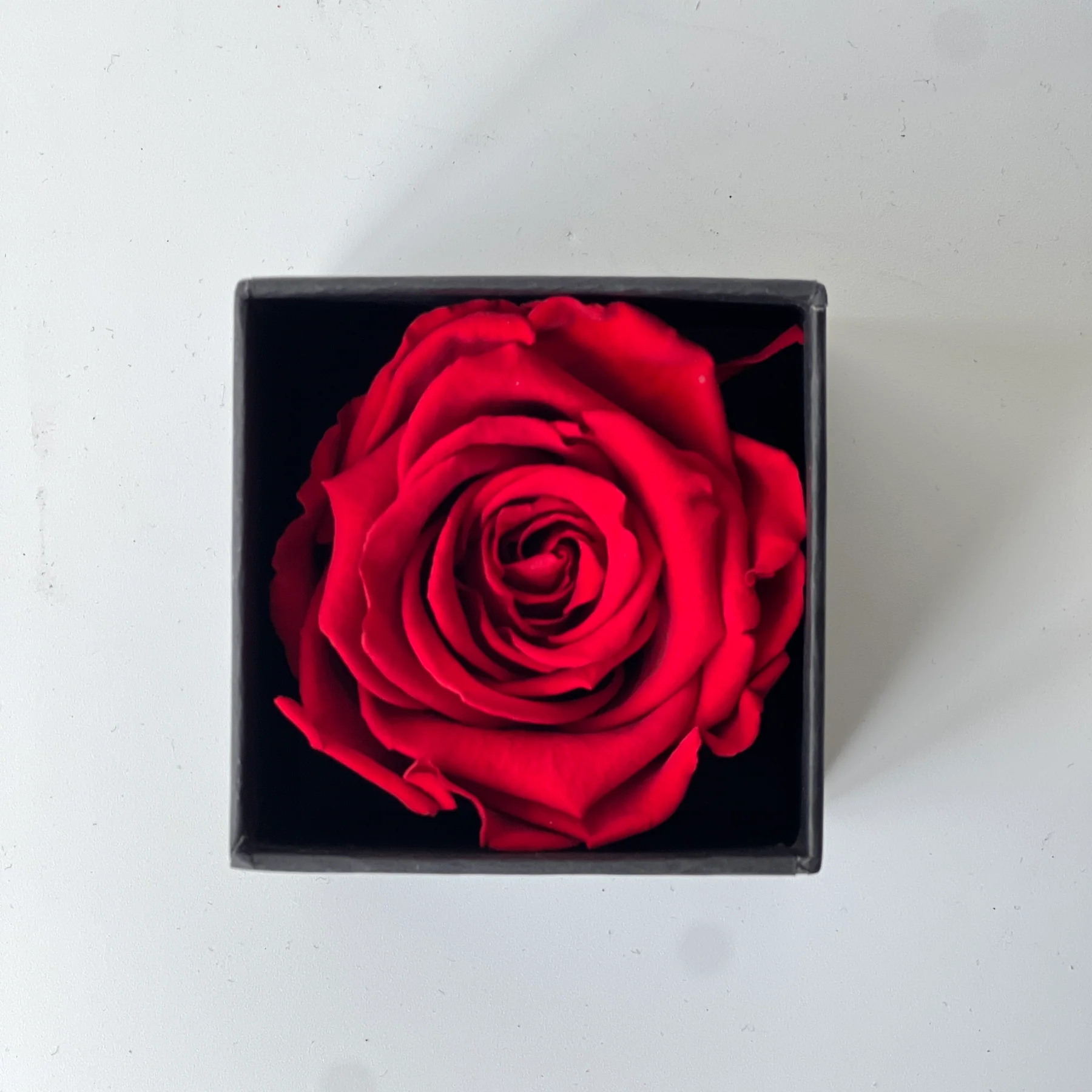 Petals & Spring - Solitaire Single Rose Arrangement